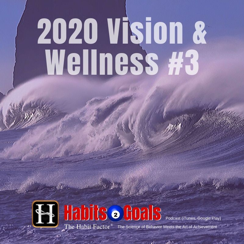 S650: 2020 Vision & Wellness, #3 - Habits 2 Goals Podcast w/Martin Grunburg